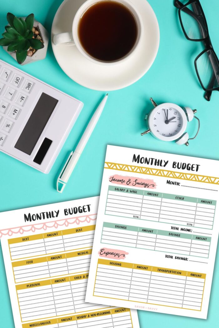 13-Page Free Printable Savvy Budget Planner - Savor + Savvy