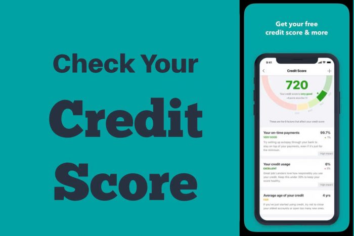 Everything You Need to Know About the Mint App - Savor + Savvy