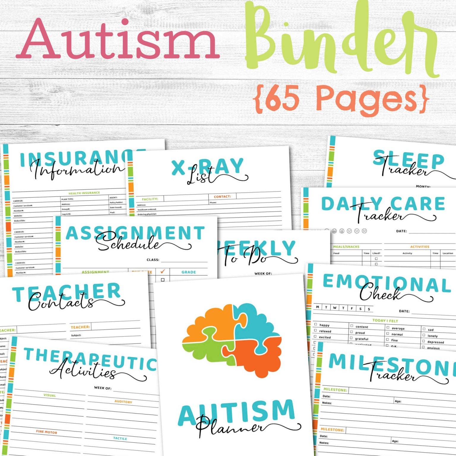 Autism Binder Printables {65 Pages} - Savor + Savvy