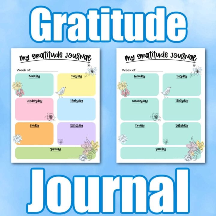 Daily Gratitude Journal and Prompts: Free Printable - Savor + Savvy