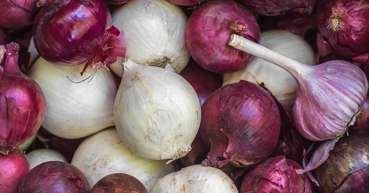 10 Best Onion Powder Substitutes - Savor + Savvy