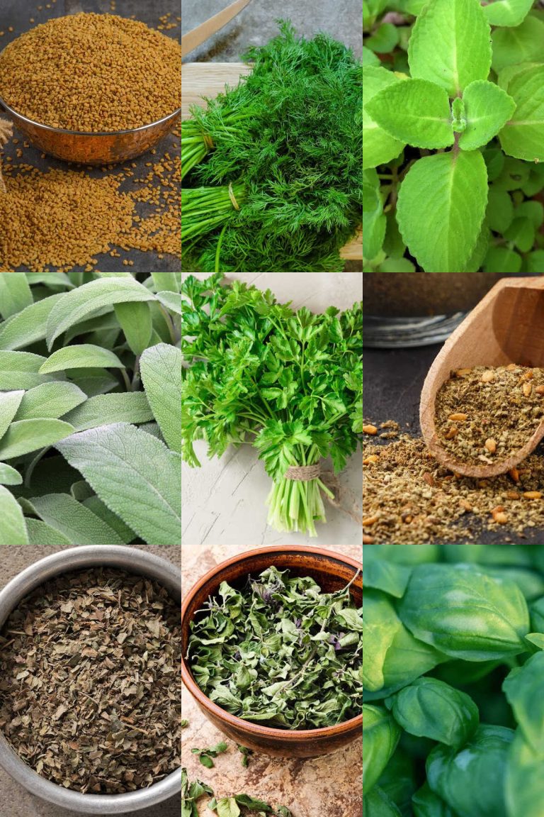 Best Oregano Substitutes - Savor + Savvy