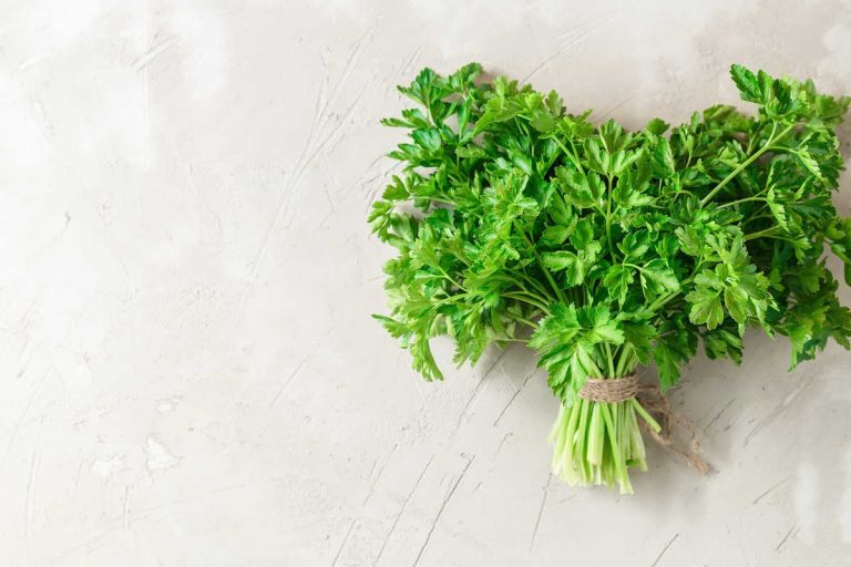 Chervil Substitutes - 11 of the Best Replacements - Savor + Savvy