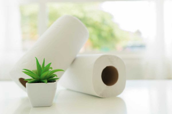 Can You Use A Paper Towel Instead Of Cheesecloth? – DWWITP