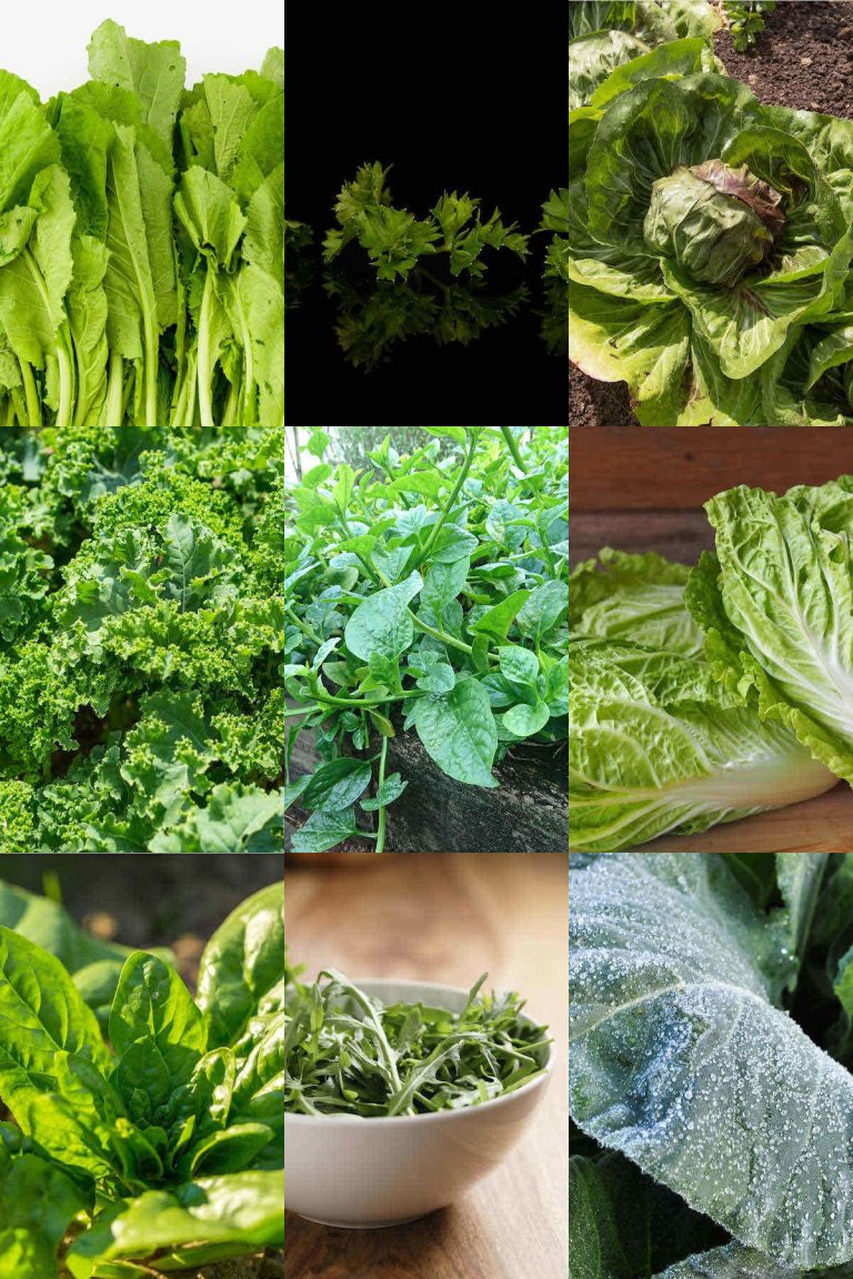 Escarole Substitutes: 9 Options To Spice Up Your Recipes - Savor + Savvy