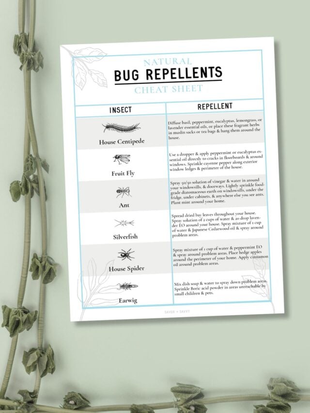 Free Printables To Help Organize Your Life and Decorate Your Home