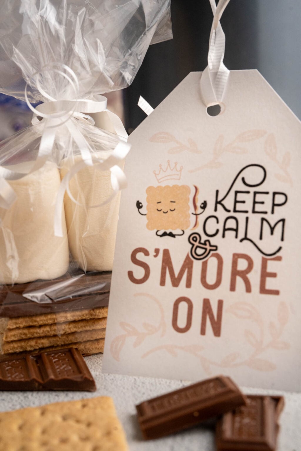 Free Printable S'mores Gift Tags - Savor + Savvy
